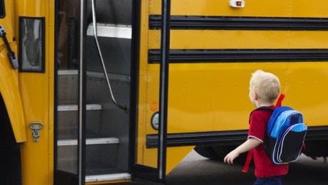 Download This Printable for School Bus Safety Week