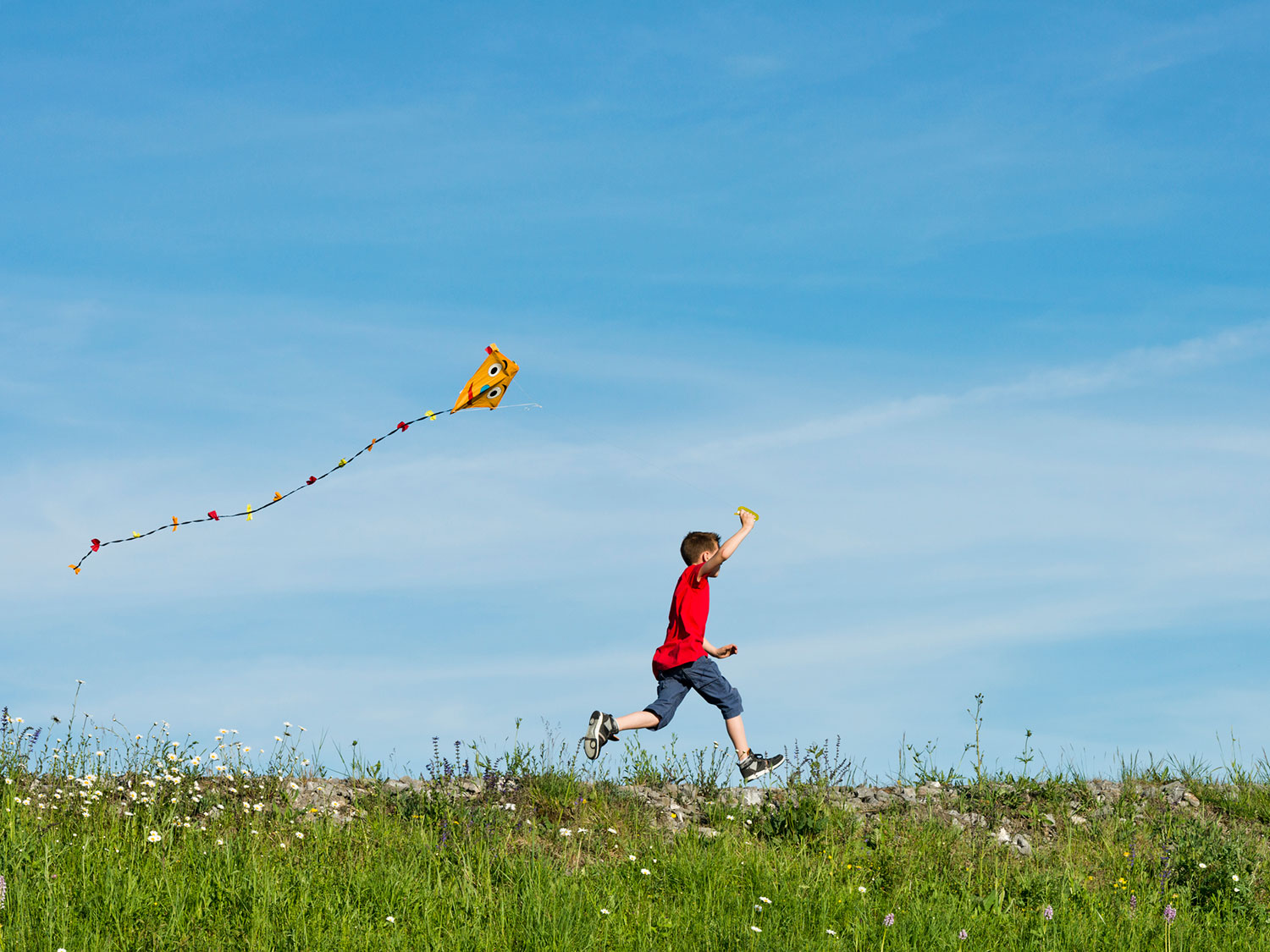 Make a Kite