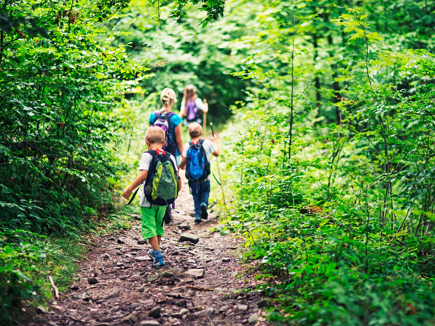 Make the Most of Summer Outings