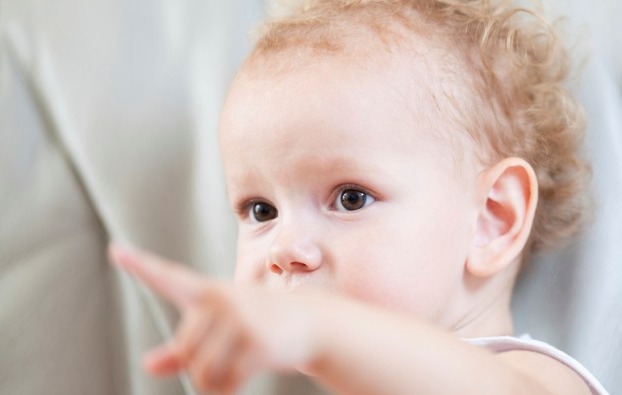 Senses & Sensibility | Scholastic | Parents