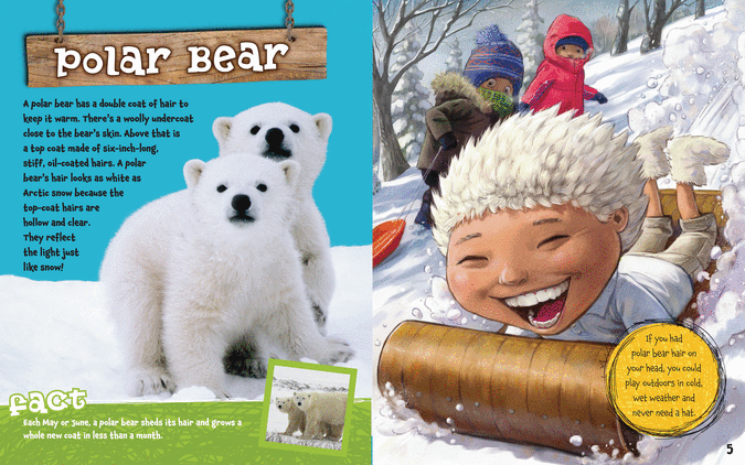 What If You Had Animal Hair? by Sandra Markle - Paperback Book - The ...