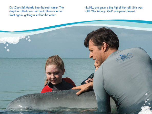 Dolphin Tale Book