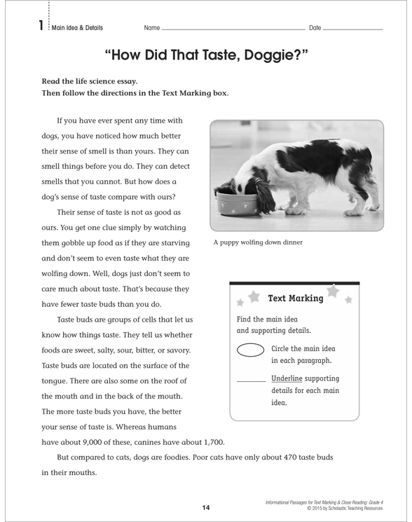 Informational Passages for Text Marking & Close Reading: Grade 4 by ...
