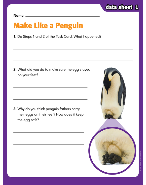 SuperScience STEM Instant Activities: Grades 1-3 by Kathy Burkett