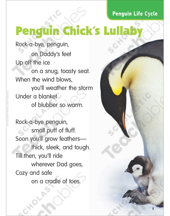 Penguin Chick's Lullaby (Penguin Life Cycle): Science Poem by