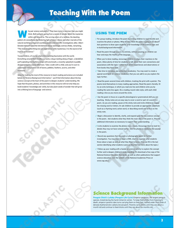 Penguin Chick's Lullaby (Penguin Life Cycle): Science Poem by