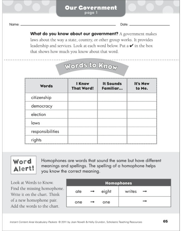 Our Government: Social Studies Vocabulary Packet by