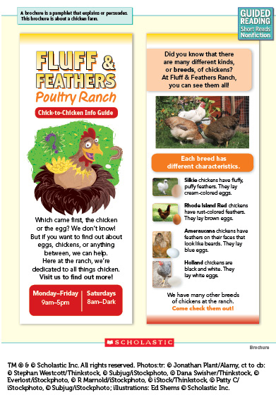 Guided Reading Short Reads Nonfiction Grade 4 (Levels M-T) by