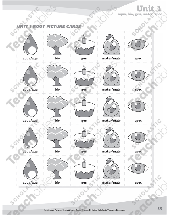 Greek & Latin Roots: Vocabulary Packet by