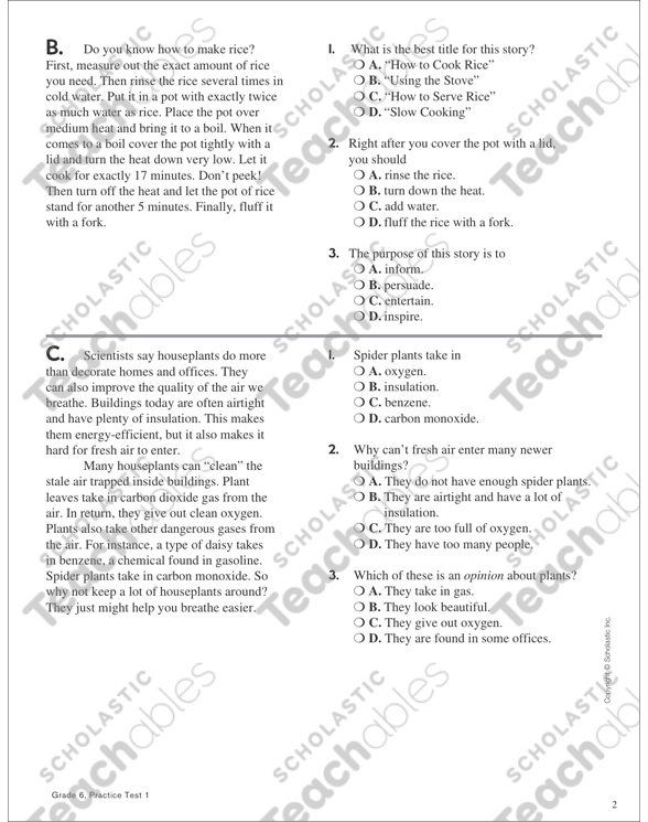 Practice Test 1: Reading Skills (Grade 6) by