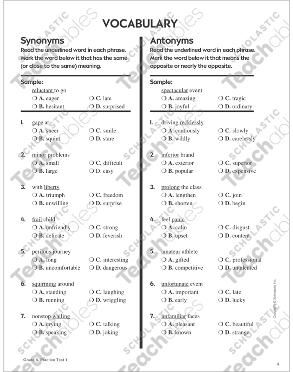 Practice Test 1: Reading Skills (Grade 6) by