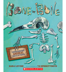 Bone by Bone by Sara Levine