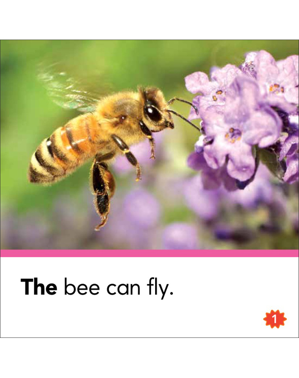 Nonfiction Sight Word Readers Parent Pack: Level A by Liza Charlesworth