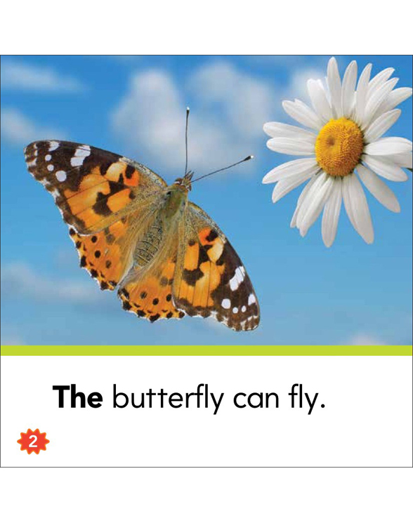 Nonfiction Sight Word Readers Parent Pack: Level A by Liza Charlesworth