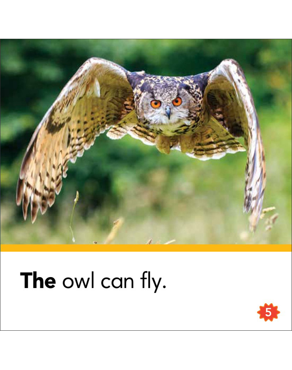 Nonfiction Sight Word Readers Parent Pack: Level A by Liza Charlesworth