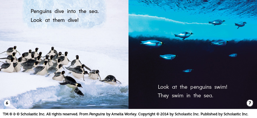 Guided Reading Nonfiction Focus 2nd Edition Grade 1 (Levels A-I) by