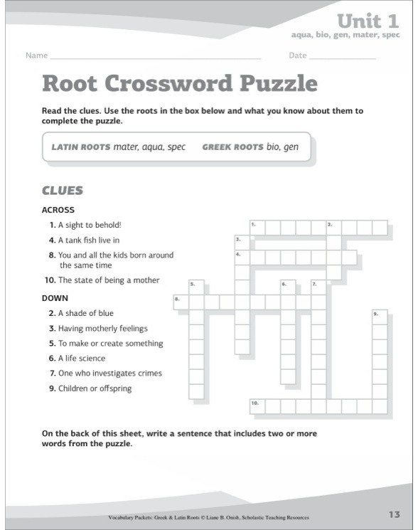 Vocabulary Packets: Greek & Latin Roots by Liane B. Onish