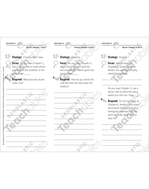 Third-Grade Detectives: The Clue of the Left-Handed Envelope (Level N ...