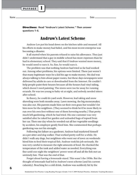 Standardized Test Practice: Long Reading Passages: Grades 5-6 by ...