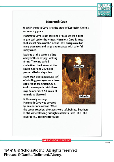 Guided Reading Short Reads Nonfiction Level L by