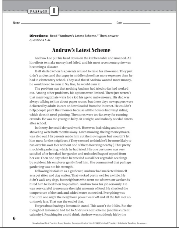 Standardized Test Practice: Long Reading Passages: Grades 5-6 by ...