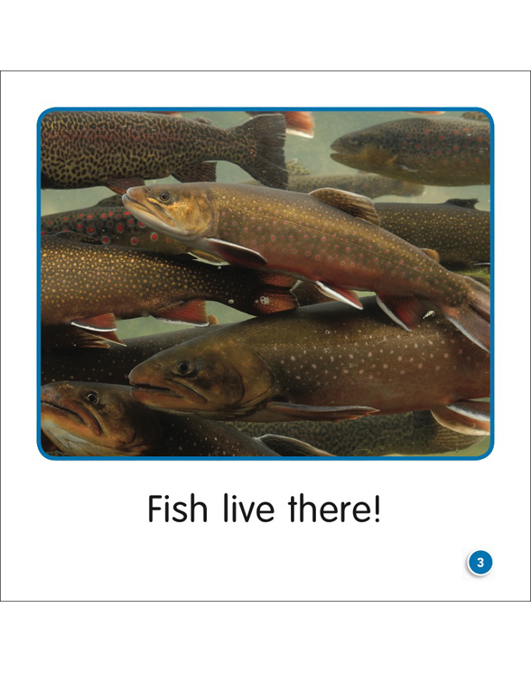 Guided Science Readers Parent Pack: Level B by Liza Charlesworth