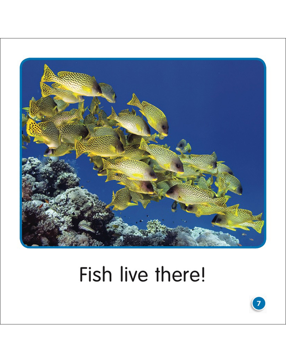 Guided Science Readers Parent Pack: Level B by Liza Charlesworth