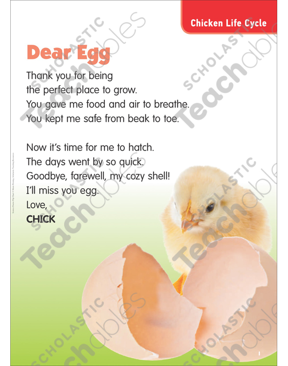 Dear Egg (Chicken Life Cycle): Science Poem by