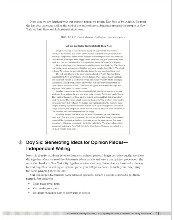 Writing an Opinion Piece: Writing Mini-Lesson by