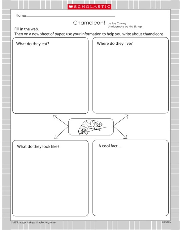 Chameleon! by Joy Cowley