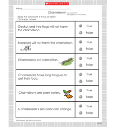 Chameleon! by Joy Cowley