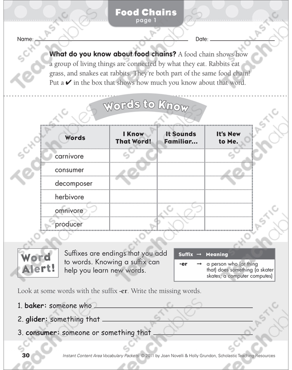Food Chains: Science Vocabulary Packet by