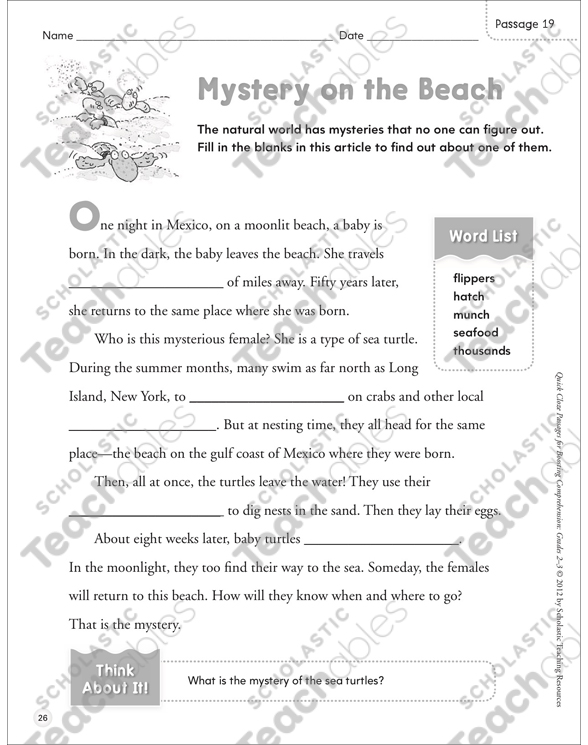 Mystery on the Beach: Quick Cloze Passage (Grades 2-3) by