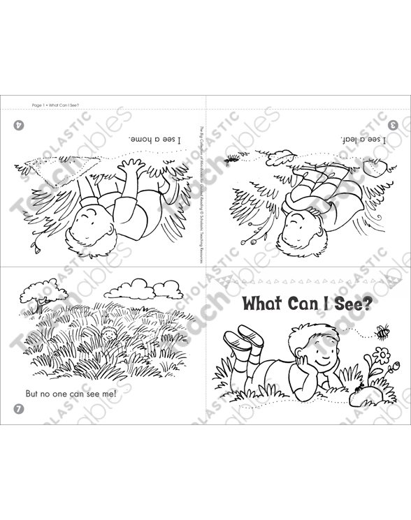 What Can I See?: Mini-Book for Guided Reading (Level A) by