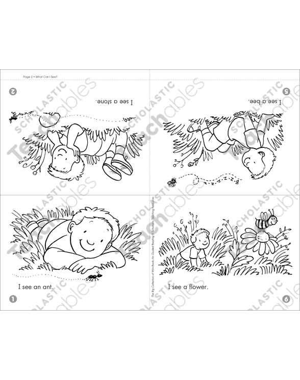 What Can I See?: Mini-Book for Guided Reading (Level A) by
