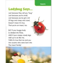Ladybug Says... (Insects): Science Poem by