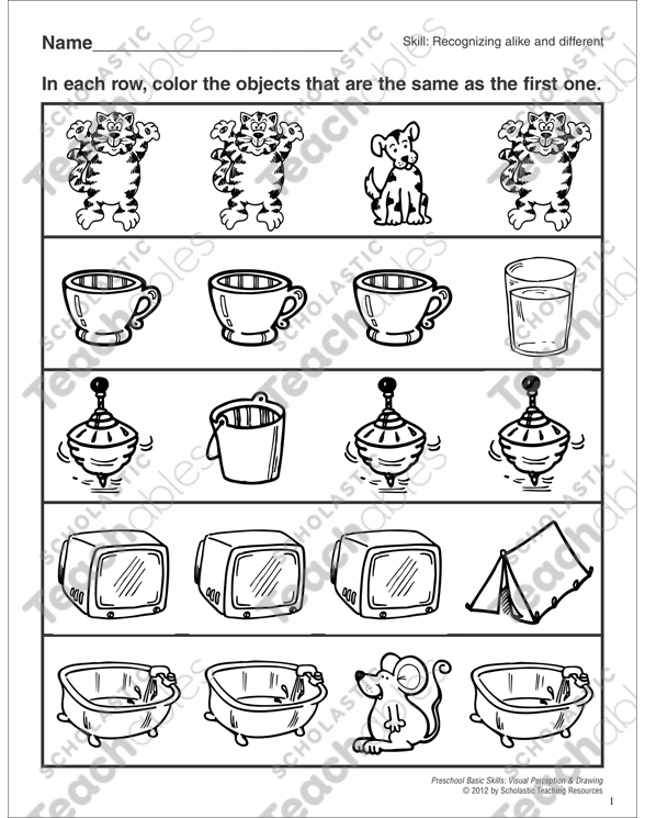 Recognizing Alike and Different: Preschool Basic Skills (Visual ...
