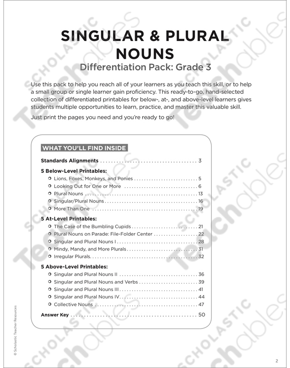 Singular & Plural Nouns Grade 3 Differentiation Pack by