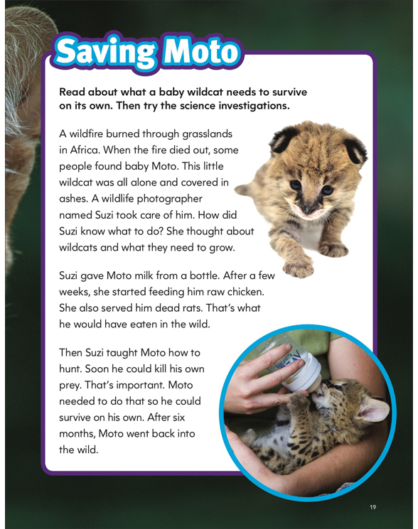 SuperScience World of WOW (Ages 6-8) Workbook by Kathy Burkett