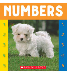 Beginning Concepts: Numbers by