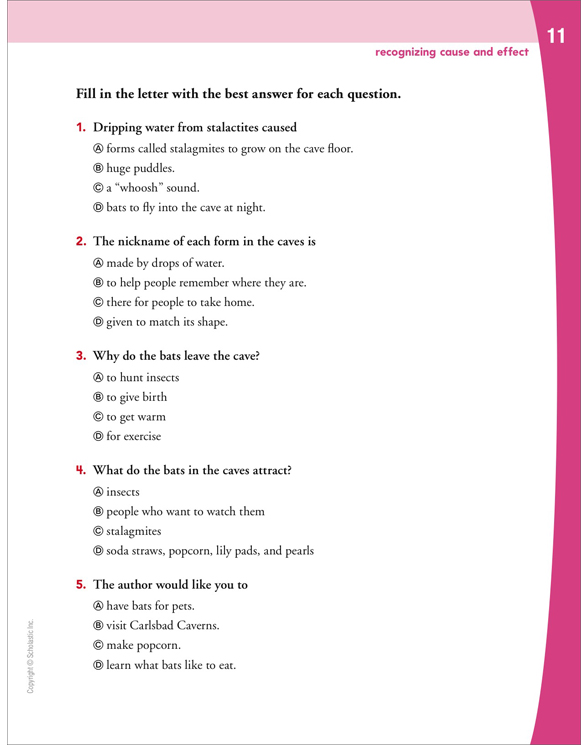 Smart Practice Workbook: Fourth Grade by