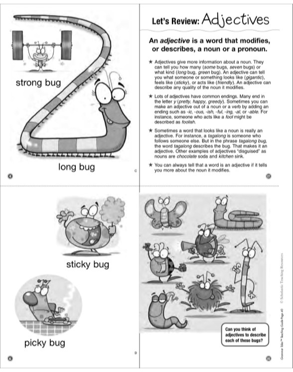 The Bug Book (Adjectives): Grammar Tales Mini-Book & Puzzles by