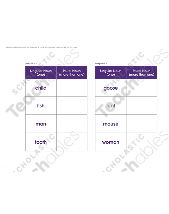 Singular & Plural Nouns Grade 4 Differentiation Pack by