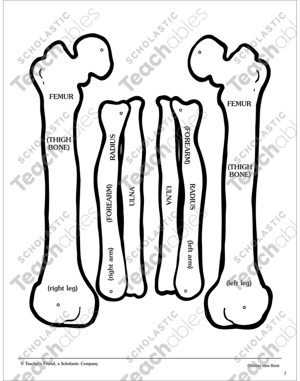 Mr. Skeleton Pattern and Activities by