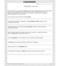 Pink and Say by Patricia Polacco