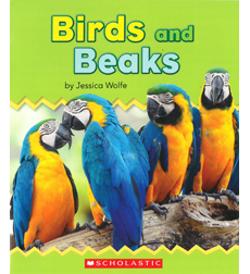 Birds and Beaks by Jessica Wolfe