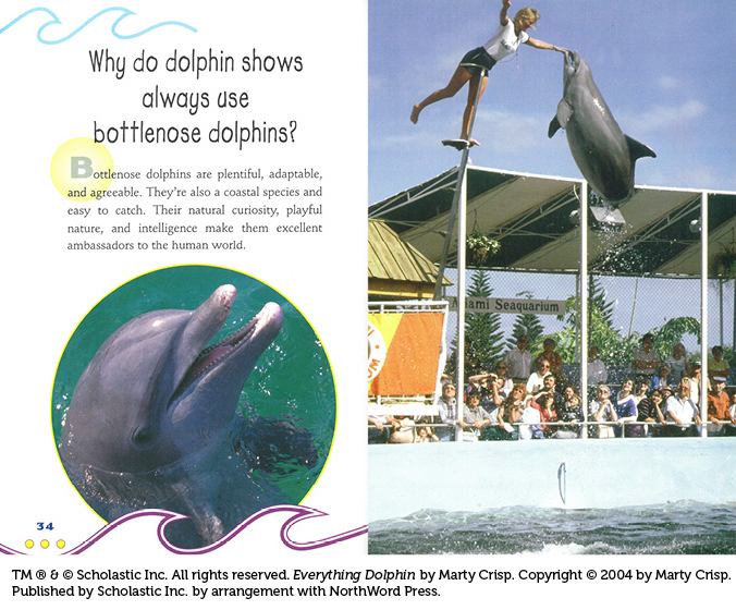 Guided Reading Nonfiction Focus 2nd Edition Level R by