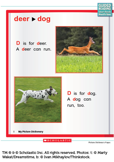 Guided Reading Short Reads Nonfiction Grade 1 (Levels A-I) by