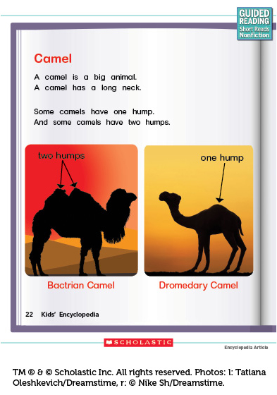 Guided Reading Short Reads Nonfiction Grade 1 (Levels A-I) by