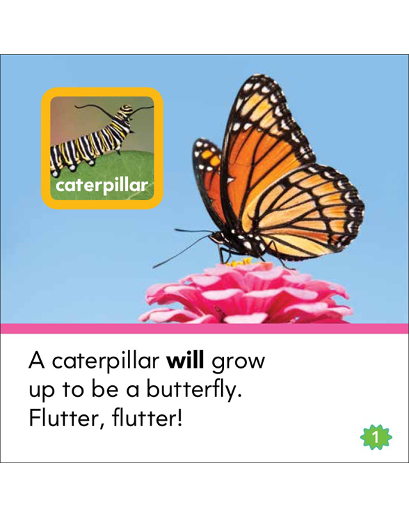 Nonfiction Sight Word Readers Classroom Tub Level C by Liza Charlesworth